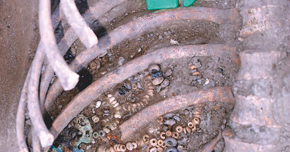 Kunok a Dunántúlon